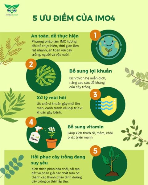 2 Cách làm IMO4 khô và nước tại nhà đơn giản, hiệu quả cao